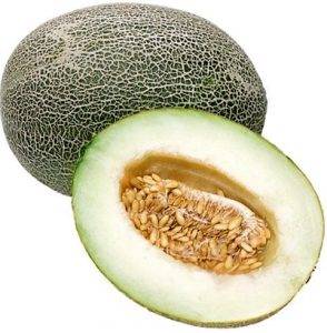 Diversidad y formas de los melones