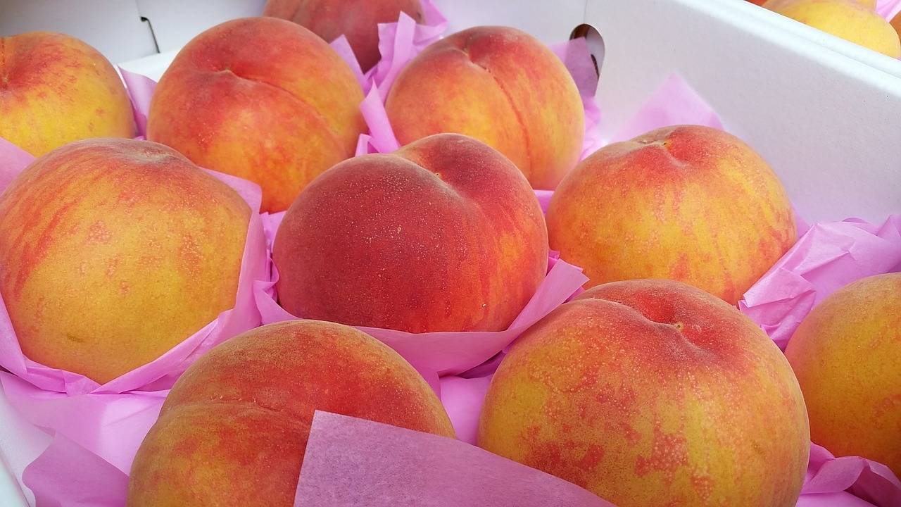 El melocotón-Frutas, Hortalizas y frutos secos-ACTUAL FruVeg