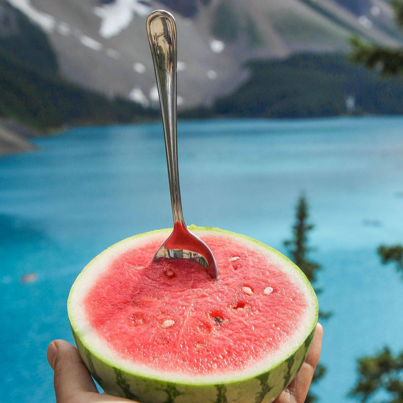 La fruta de sandía-Frutas y Hortalizas-ACTUAL FruVeg