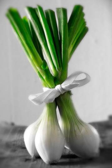 La cebolla-Verduras.Hortalizas-ACTUAL FruVeg