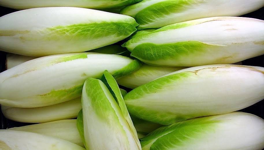 Endivia-Verduras-ACTUAL FruVeg