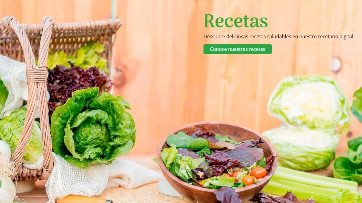 Primaflor y Climate Ambition Accelerator-Marcas-ACTUAL FruVeg