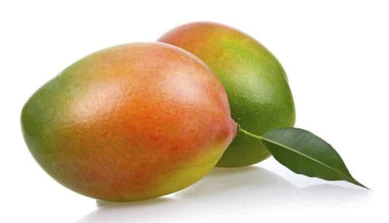 Las variedades de mango-Variedades-ACTUAL FruVeg