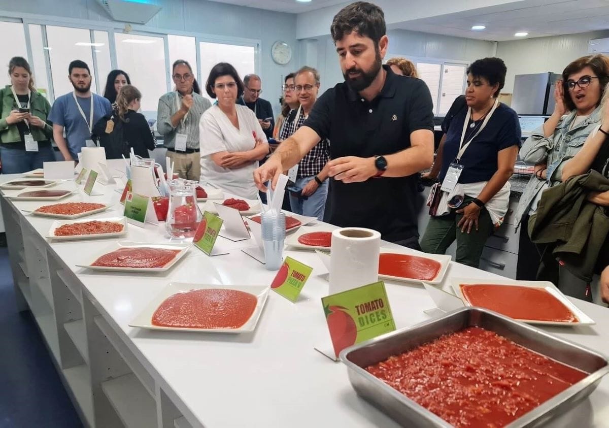 El tomate ¿cómo es mejor comérselo?-Nutrición-ACTUAL FruVeg