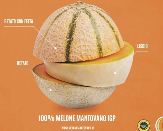Simposio del Melón Mantovano IGP-Mediateca-ACTUAL FruVeg